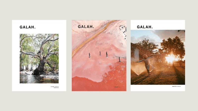 Blog Article: How To Promote Your Business Through Local Area Marketing